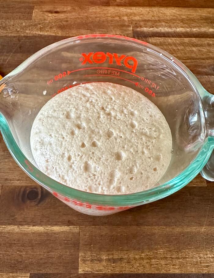 Easy Homemade Griddle Naan Bread - The Flat Top King